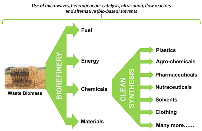 CSTP figure 1